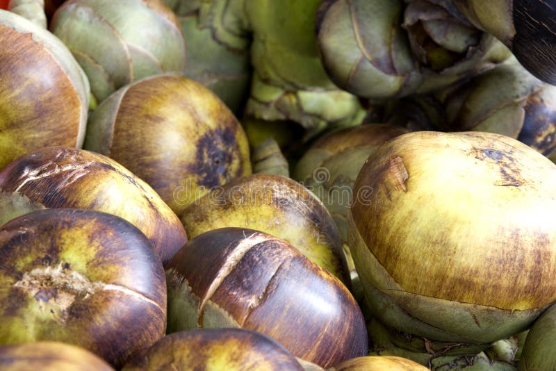 Fresh Toddy Palms for Sale stock photo. Image of sale - 7171388
