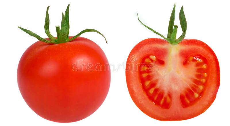 Fresh tomato stock image. Image of single, juicy, cooking - 24230865