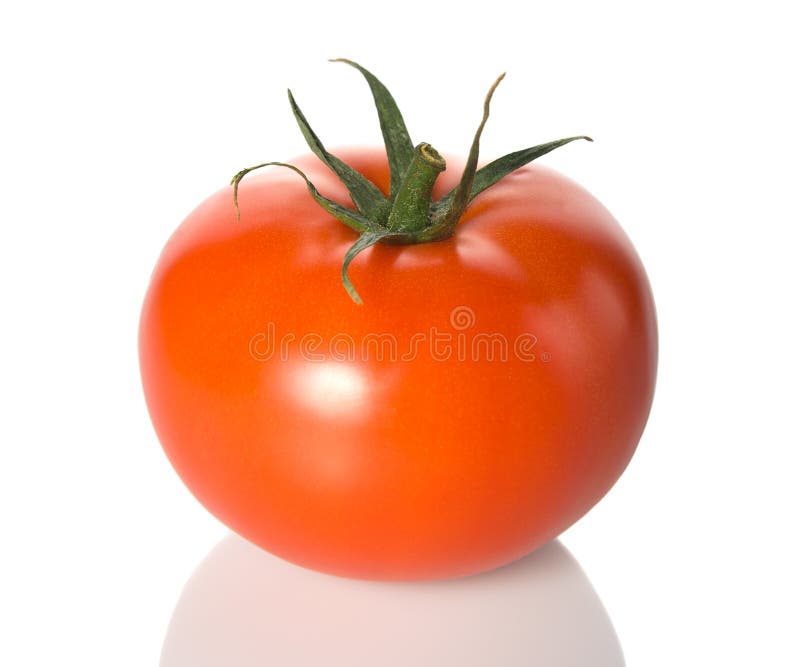 Fresh tomato stock photo. Image of juicy, luscious, sappy - 3606806