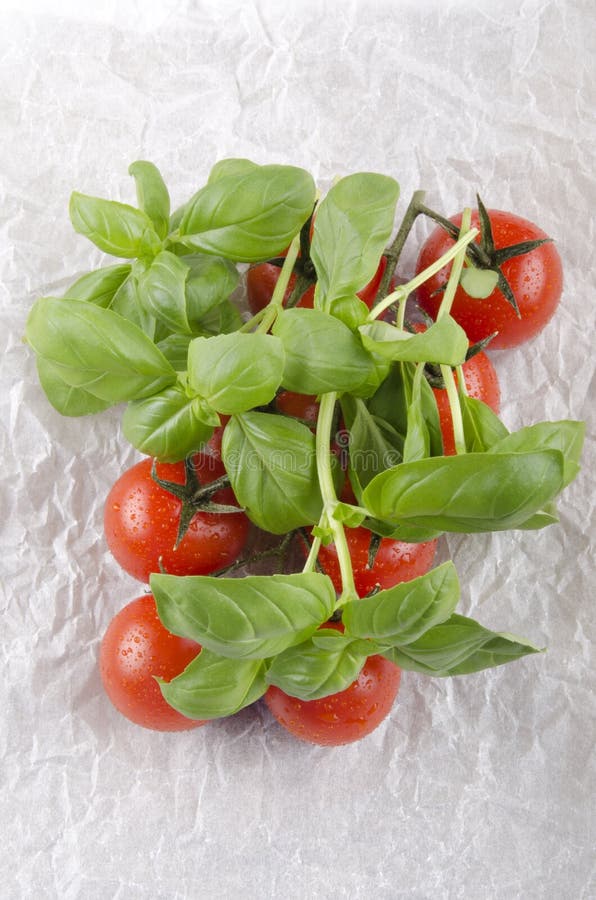 Fresh Tomato and Basil on Paper Stock Image - Image of flavour, tomato ...
