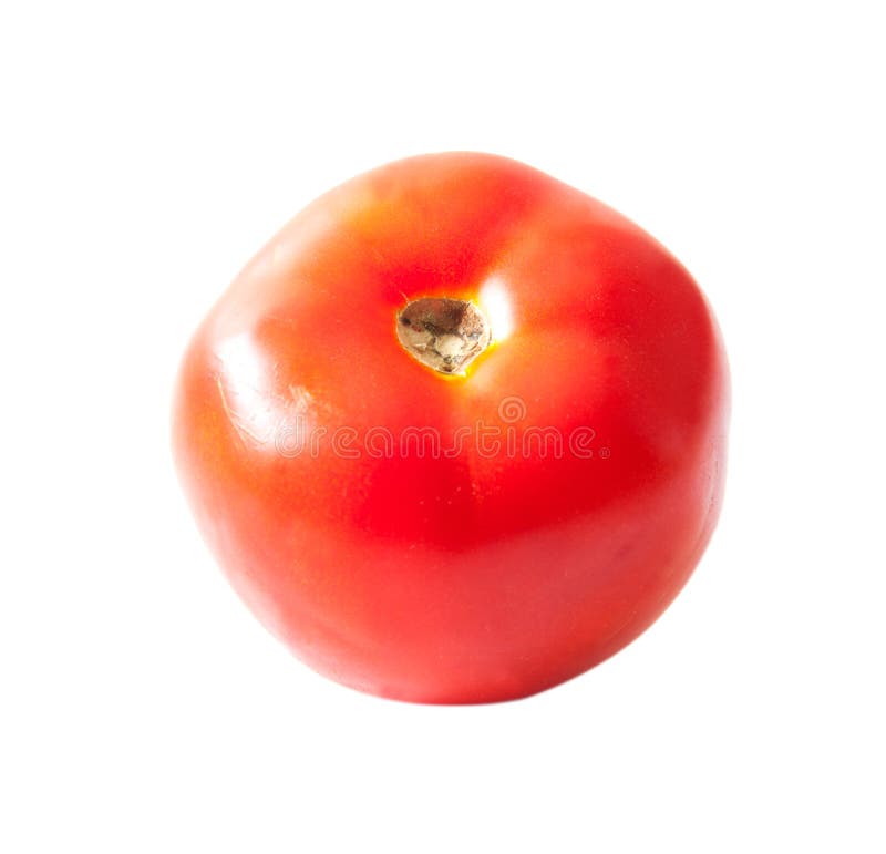 Fresh tomato stock photo. Image of high, food, comfortable - 55887344
