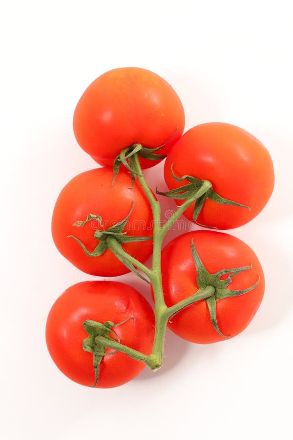Fresh tomato stock image. Image of isolated, fresh, cooking - 92272721