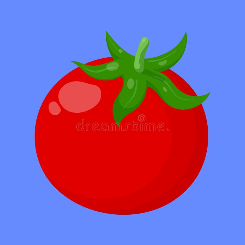 Fresh Tomato Vegetable Icon Vector. Tomato Vegetable Icon Stock Vector ...