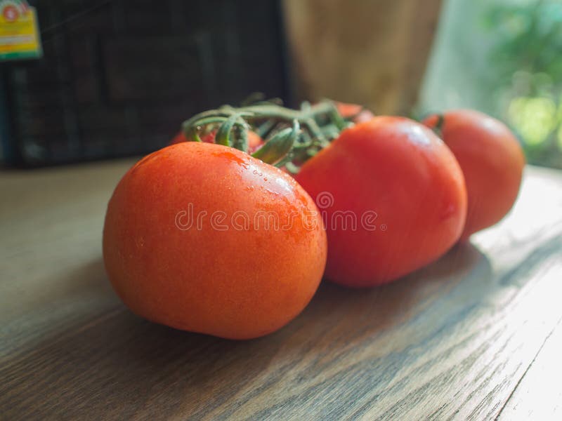 Fresh tomato stock photo. Image of fresh, diet, natural - 67853322