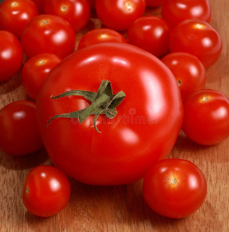 Fresh tomatoes stock photo. Image of size, tomato, ripe - 19428346