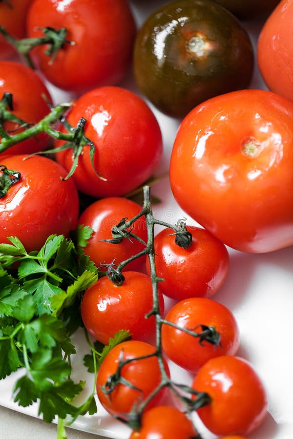 Fresh tomatoes stock photo. Image of dieting, ates, bunch - 39772020