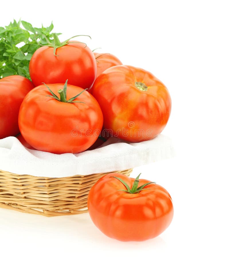 Fresh tomatoes stock photo. Image of gourmet, nature - 27315256