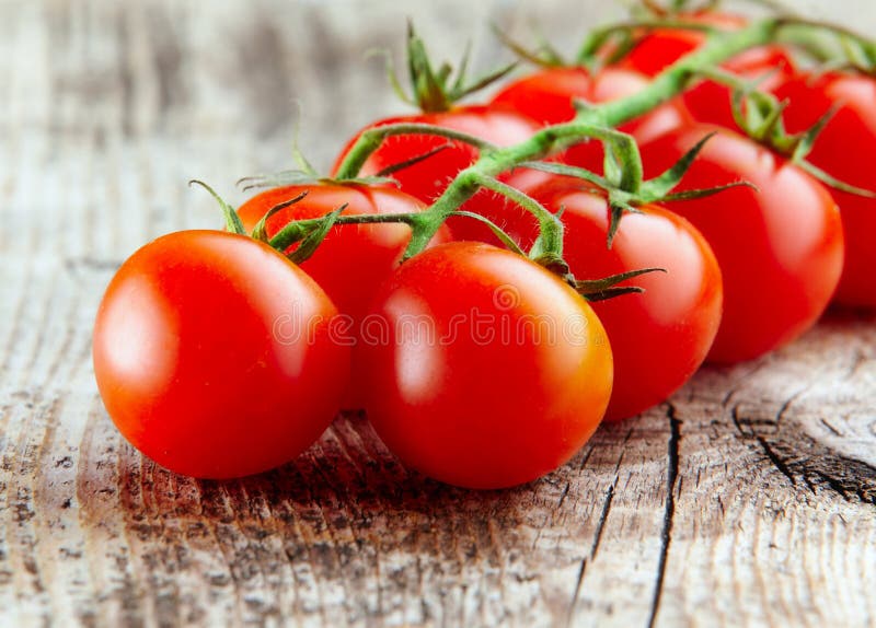 Fresh tomatoes stock photo. Image of vegetable, vegetarian - 28225686