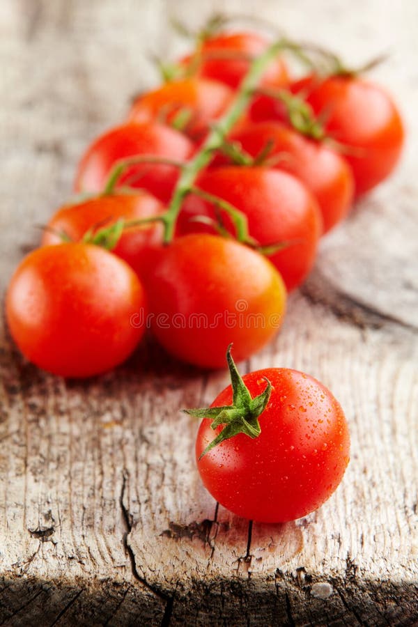 Fresh tomatoes stock image. Image of garden, healthy - 28225707