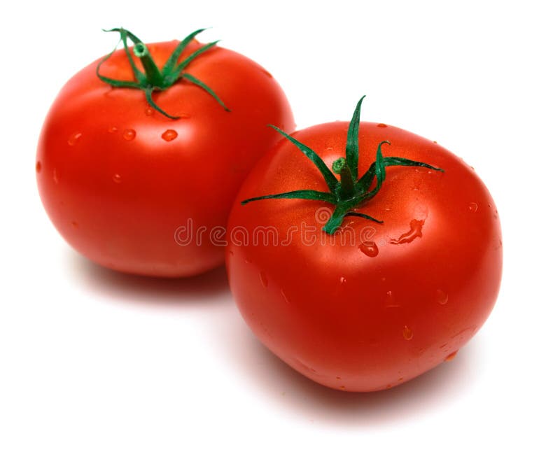Fresh tomatoes stock image. Image of vegetative, food - 4992957