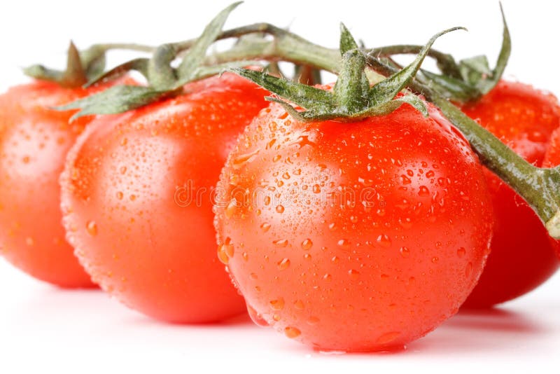 Fresh tomatoes stock photo. Image of snack, healthy, nutrition - 7923998