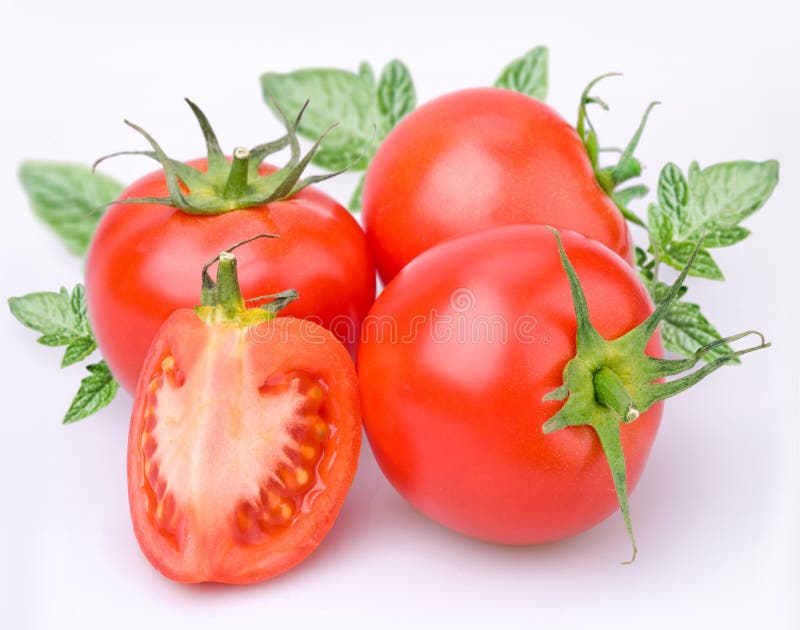 Fresh Tomatoes stock image. Image of salad, ripe, fruit - 8813509