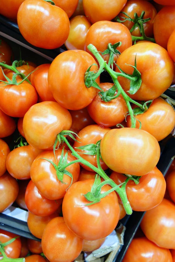 Fresh tomatoes in boxes stock image. Image of color, organic - 30767571