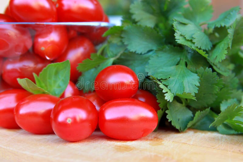 Fresh Tomatoes and Cilantro Stock Photo - Image of fresh, basil: 22232828
