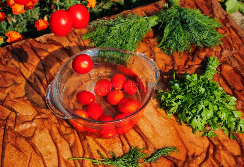 Fresh Tomatoes Falling in Pure Water Stock Image - Image of isolated ...