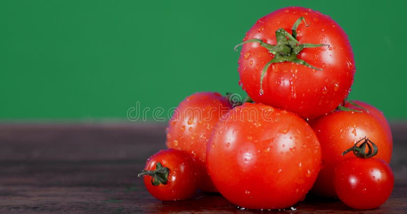 Fresh Tomatoes Falling Water Drops. Stock Video - Video of eating ...
