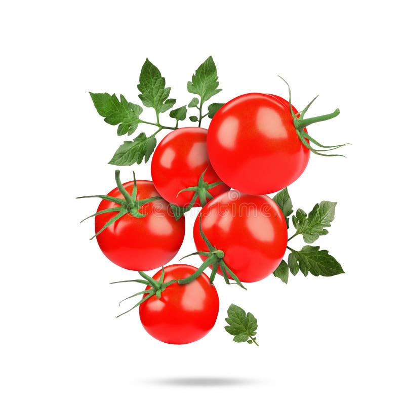 Fresh Tomatoes with Green Leaves Falling on White Background Stock ...