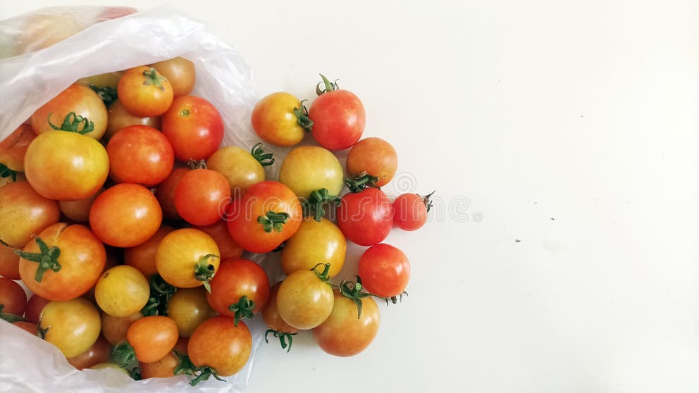 Fresh Tomatoes from Inside Plastic Food Wrap Stock Image - Image of ...