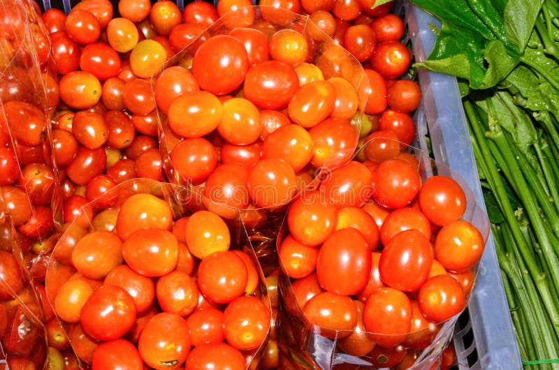 Fresh tomatoes in market stock image. Image of nature - 133745171
