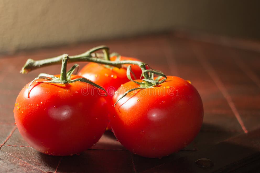 Fresh Tomatoes stock image. Image of natural, ingredient - 37955931