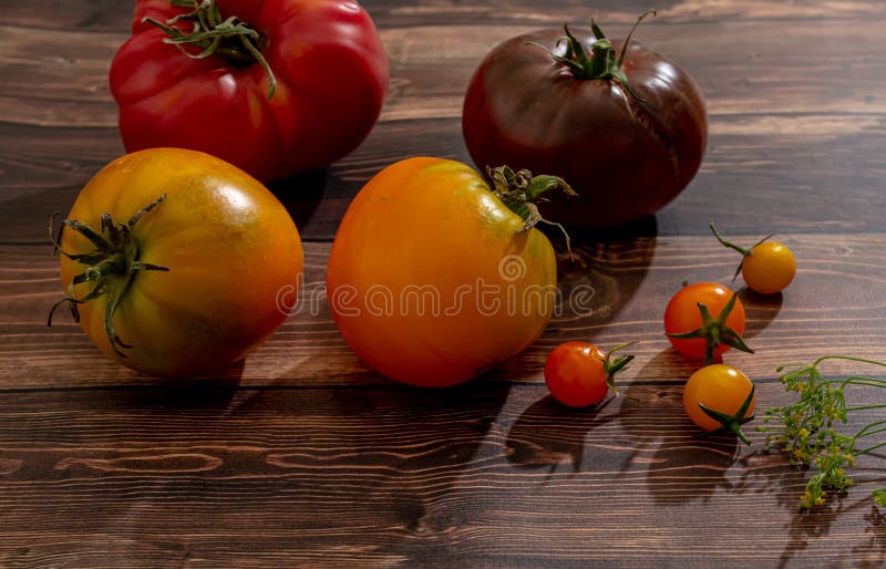 Fresh Tomatoes on a Wooden Kitchen Table in a Rustic House Stock Image ...