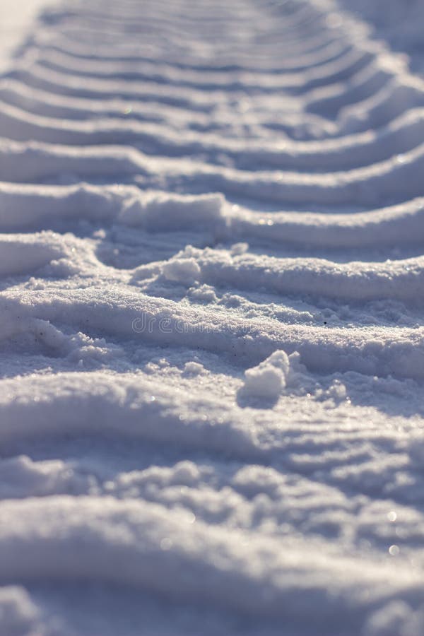 Fresh Tracks from the Tractor in the Snow in Winter Stock Image - Image ...