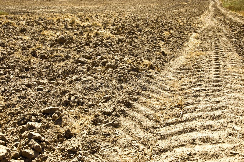 Dirt Track Background