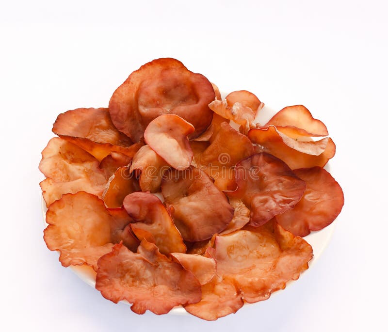 Fresh Tree Ear Mushroom. stock photo. Image of delicious - 51995790