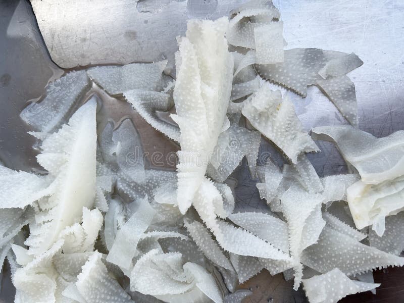 Fresh Tripe or Beef Offal or Cow S Intestine for Cooking Stock Image ...