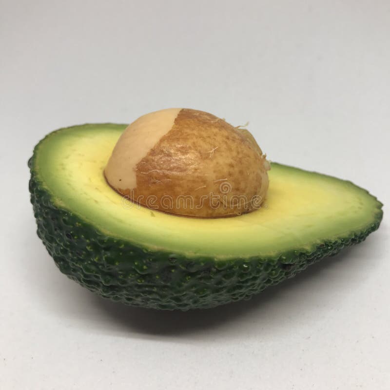 Avocado stock photo. Image of macro, nature, diet, freshness - 111627066