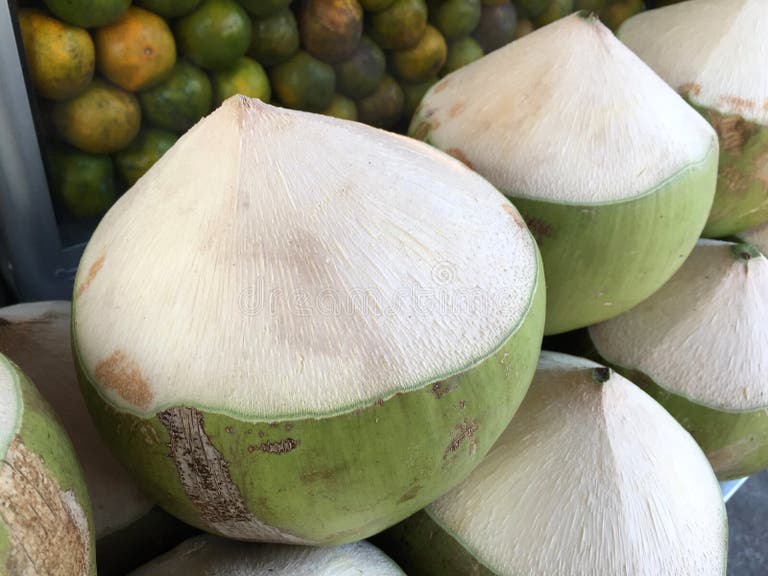 Fresh Coconuts stock photo. Image of sweet, natural - 101253574