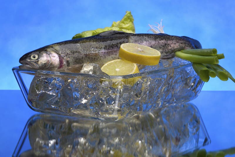 Fresh trout stock image. Image of nutrition, fish, nice - 49513849
