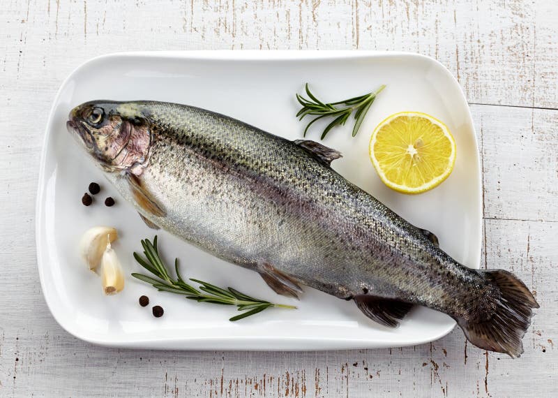Fresh trout stock photo. Image of tail, rainbow, traditional - 36523334