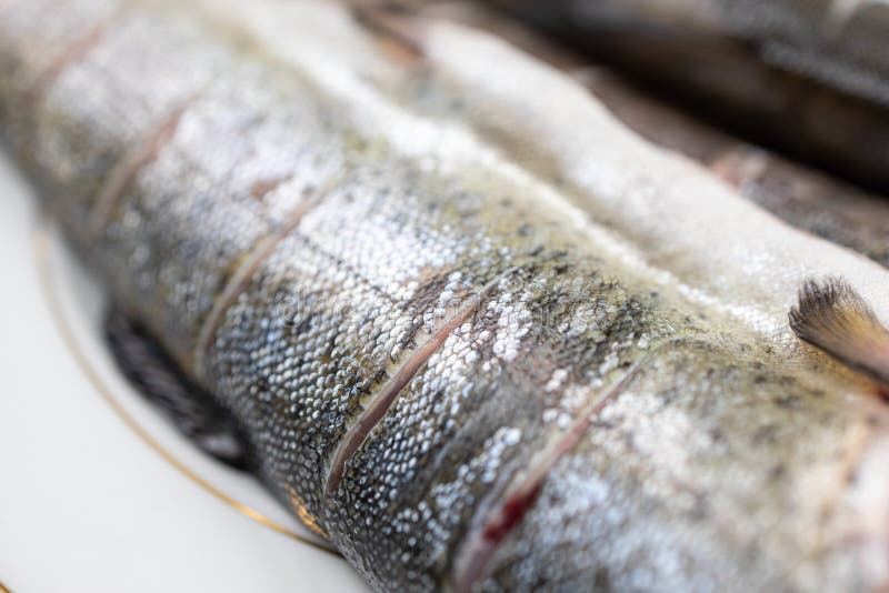 Fresh Trout on the Plate Ready for Preparing Stock Image - Image of ...