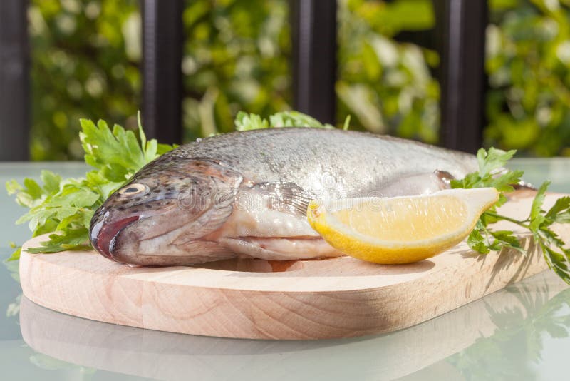 Fresh trout stock image. Image of nutritive, silver, seafood - 33051333