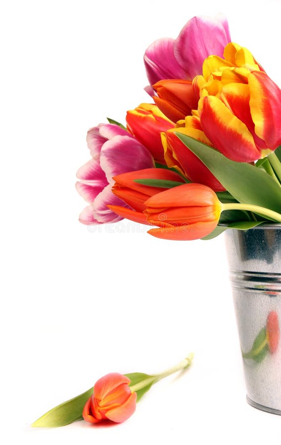 Fresh tulips stock image. Image of nature, bouquet, decoration - 96774767