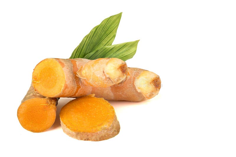 Fresh turmeric, Thai herb stock photo. Image of ginger - 299048238