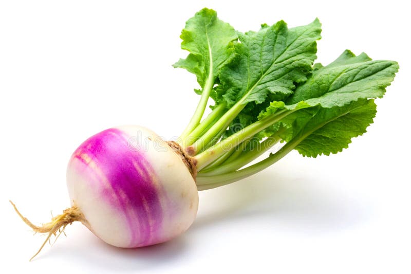 Fresh Turnip with Green Leaves, Isolated on White Background Stock ...