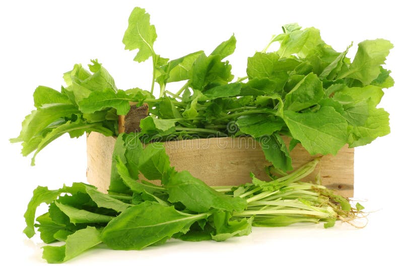 One Fresh Turnip(Brassica Rapa Rapa) Stock Image - Image of fresh ...