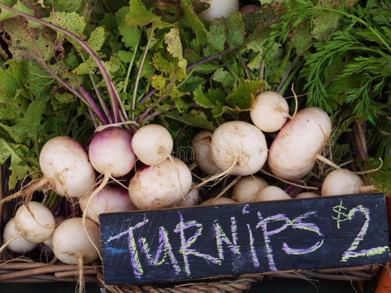 Fresh Turnips stock image. Image of green, fresh, vegetarian - 15118567