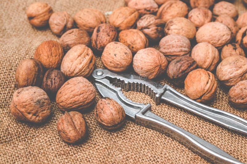 Organic Walnuts with Nut Cracker on Sackcloth Stock Photo - Image of ...