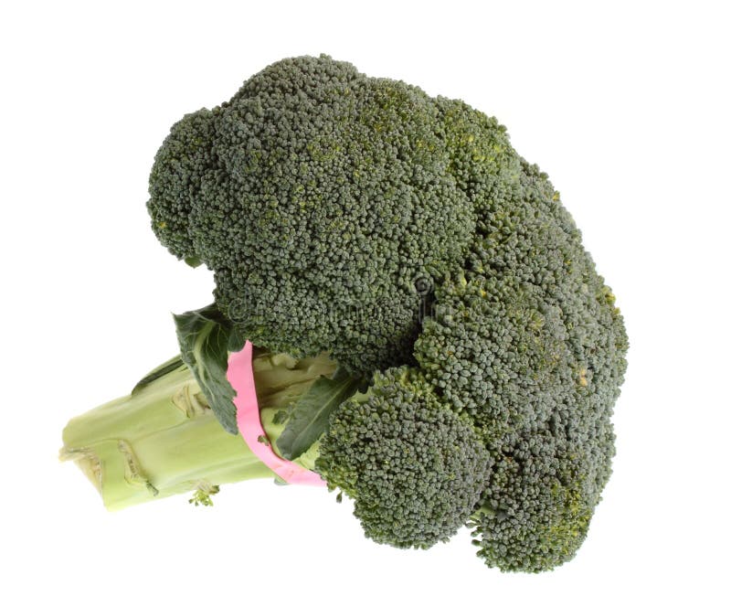 Fresh uncooked broccoli stock image. Image of vegetarian - 30991279