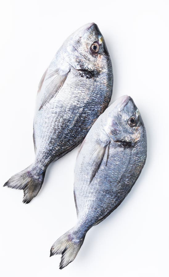 Fresh Uncooked Dorado or Sea Bream Fish on a White Background. Stock ...