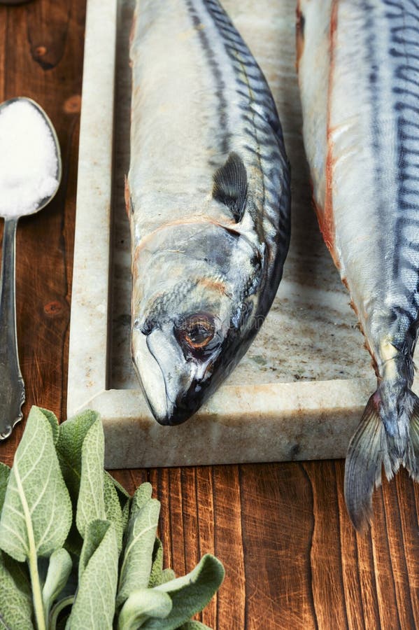 Fresh Uncooked Mackerel Fish Stock Photo - Image of silver, fresh ...