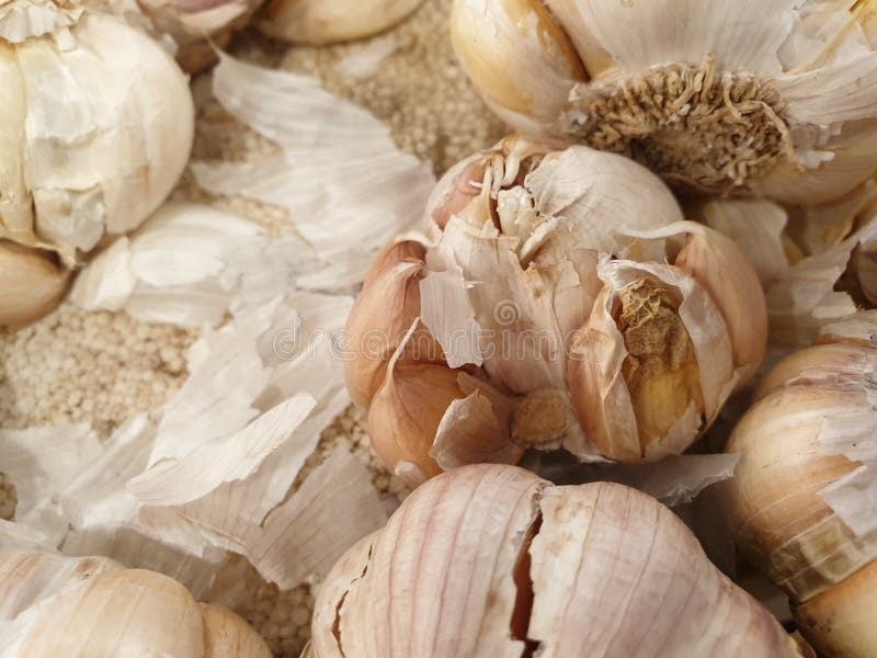 Unfresh Garlic Stock Photos - Free & Royalty-Free Stock Photos from ...