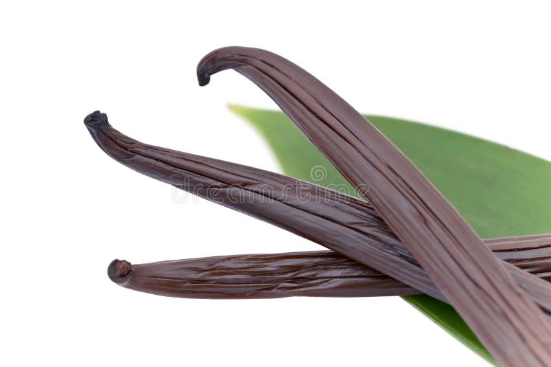 Fresh Vanilla Flavor Ice Cream Sundae with Chocolate Buttons and ...