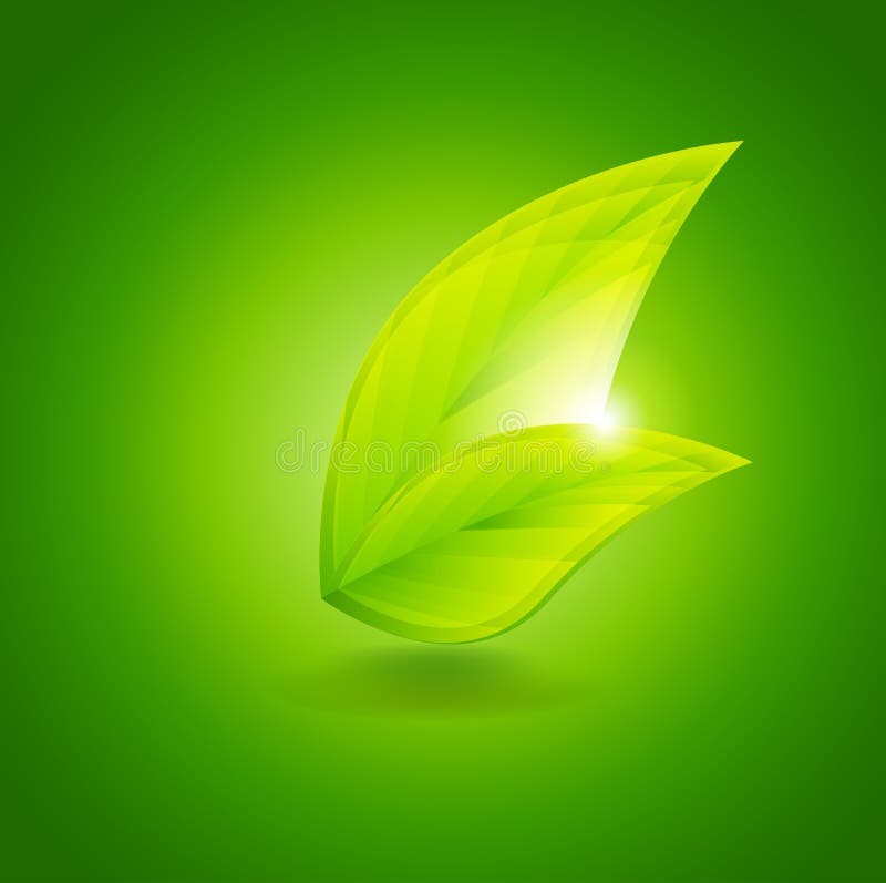 Fresh Vector Leaves stock vector. Illustration of symbol - 19206201