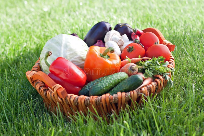 Fresh vegetable stock image. Image of food, parsley, vegetable - 21941481