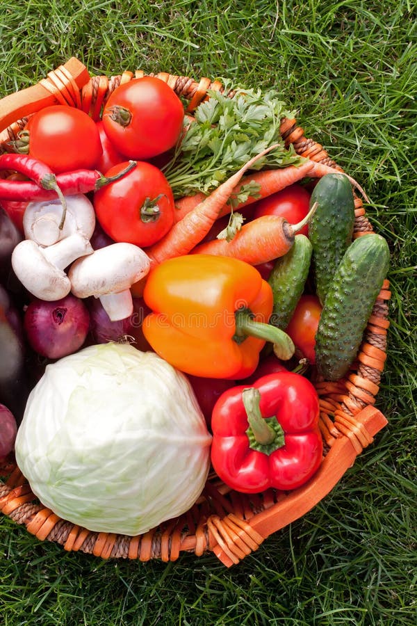 Fresh vegetable stock photo. Image of crop, close, freshness - 23905136