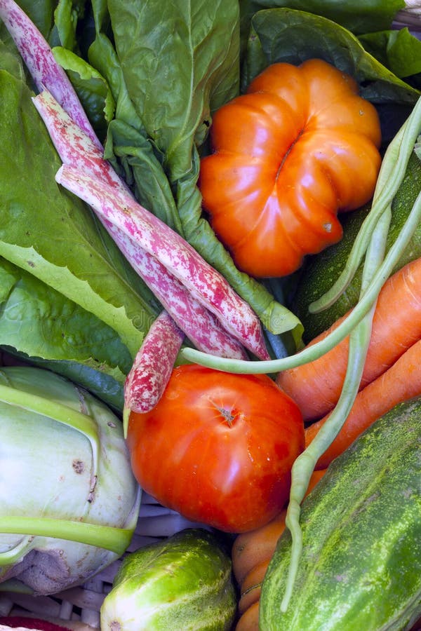 Fresh vegetable assortment stock image. Image of healthy - 20418905